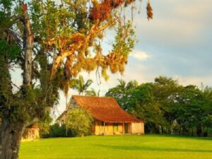 14 coisas para ver e fazer em Timbó - SC - Fui por aí